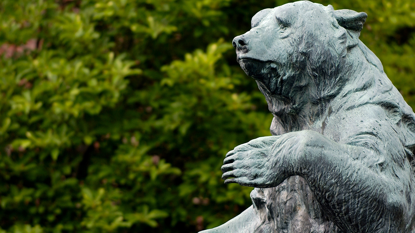 8 ways to get involved with the Brown alumni community this year ...
